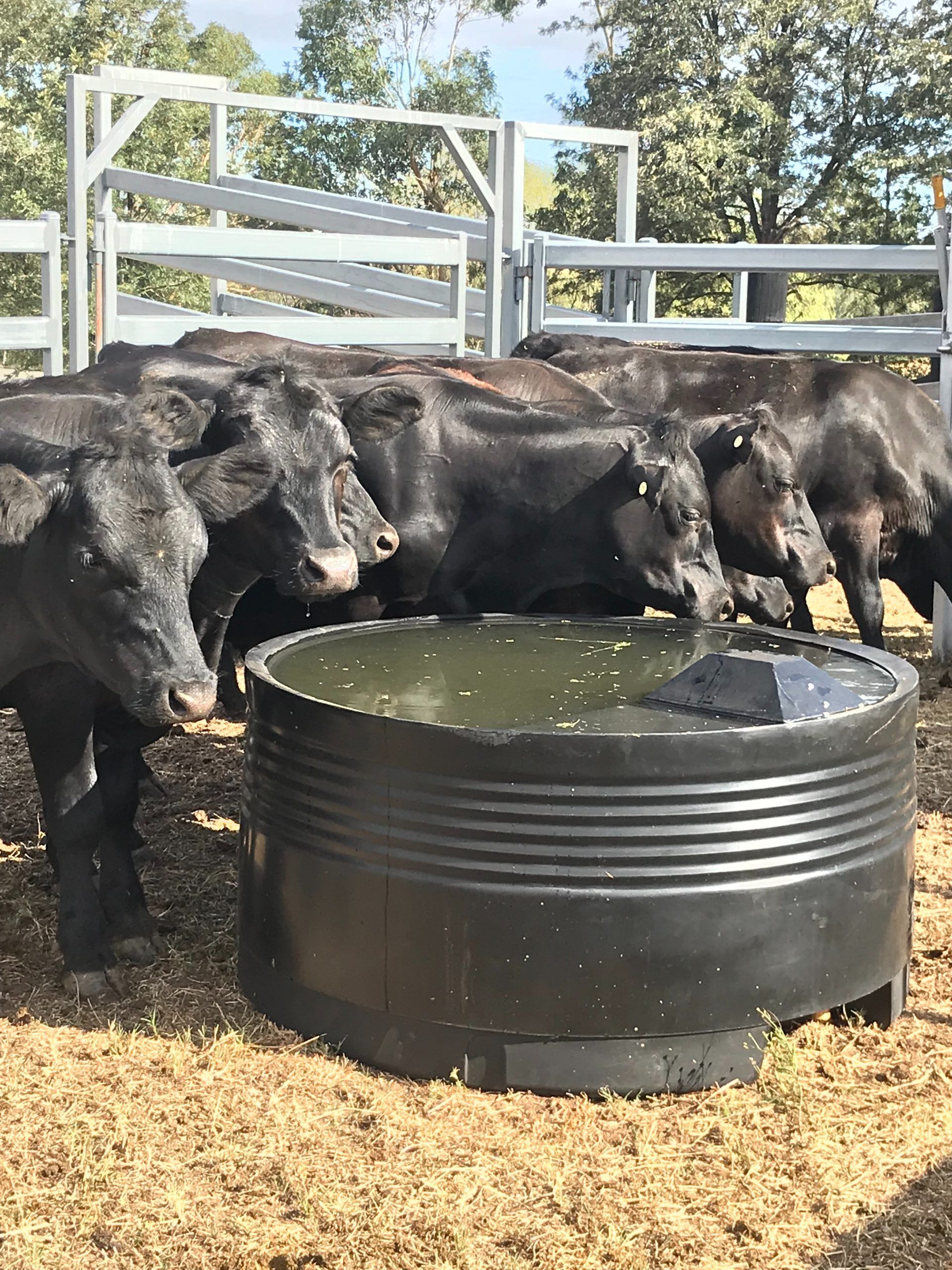 Plastic Water Tanks | PVC Water Storage Tank | FSP New Zealand